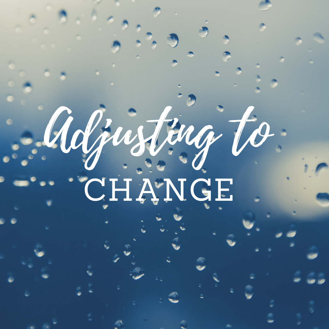 Adjusting to Change – Tales of A Curly Island Girl